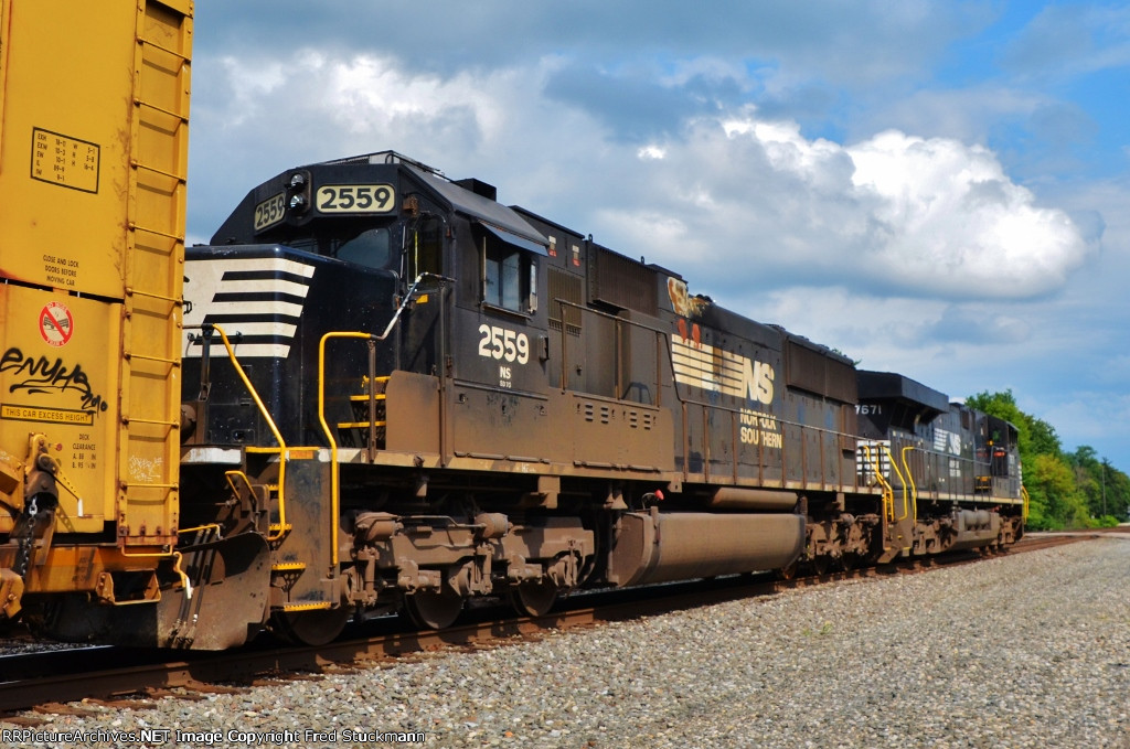 NS 2559 is a toasty 70.